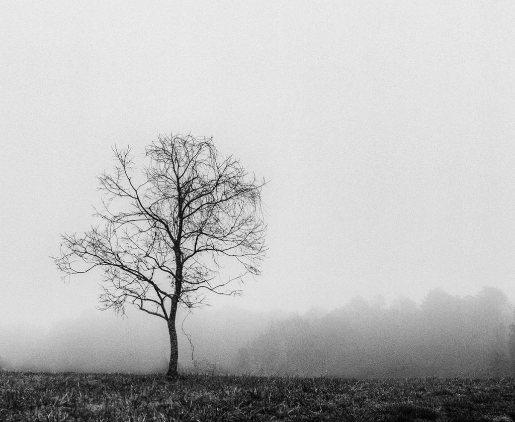 Diffused Attention – Photography and Thoughts by Kaneesha Brownlee