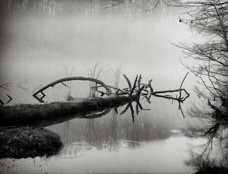 Diffused Attention – Photography and Thoughts by Kaneesha Brownlee